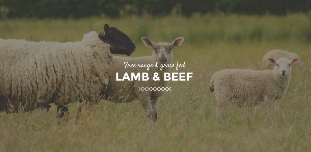 Hilltop Farm Shop & Café in Leamington Spa