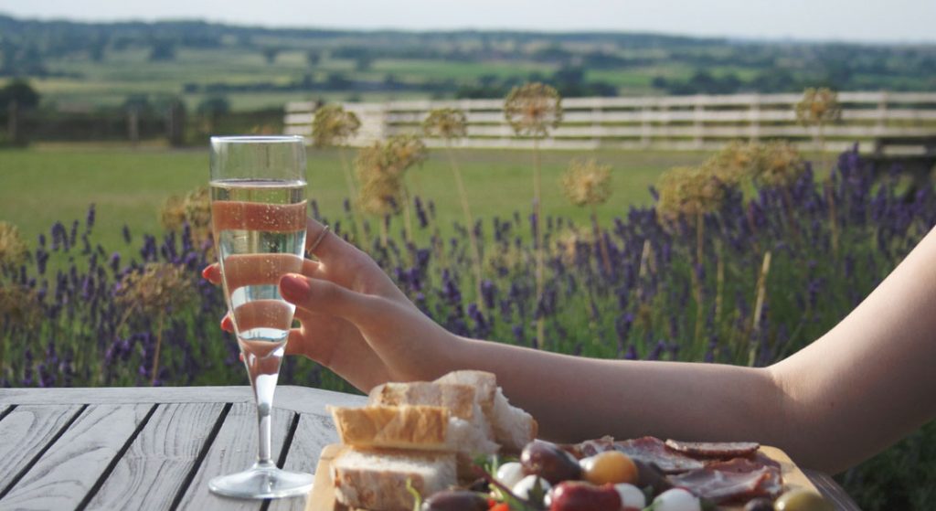 What's on - Hilltop Farm